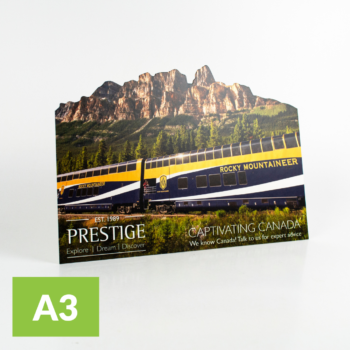 Strut Card Printing - A4, A5 Retail Counter Top Strut Cards